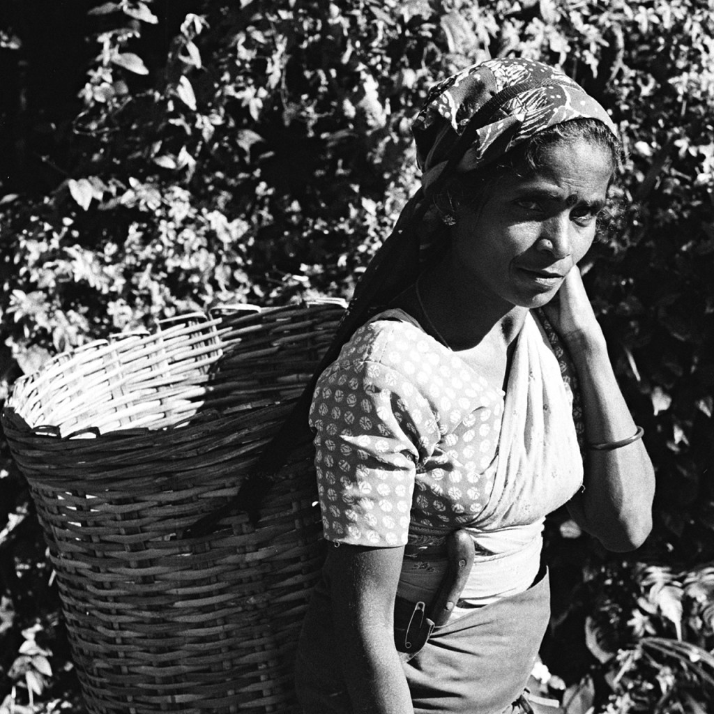 Sunara Begum—A Journey of Ascension – Vesess