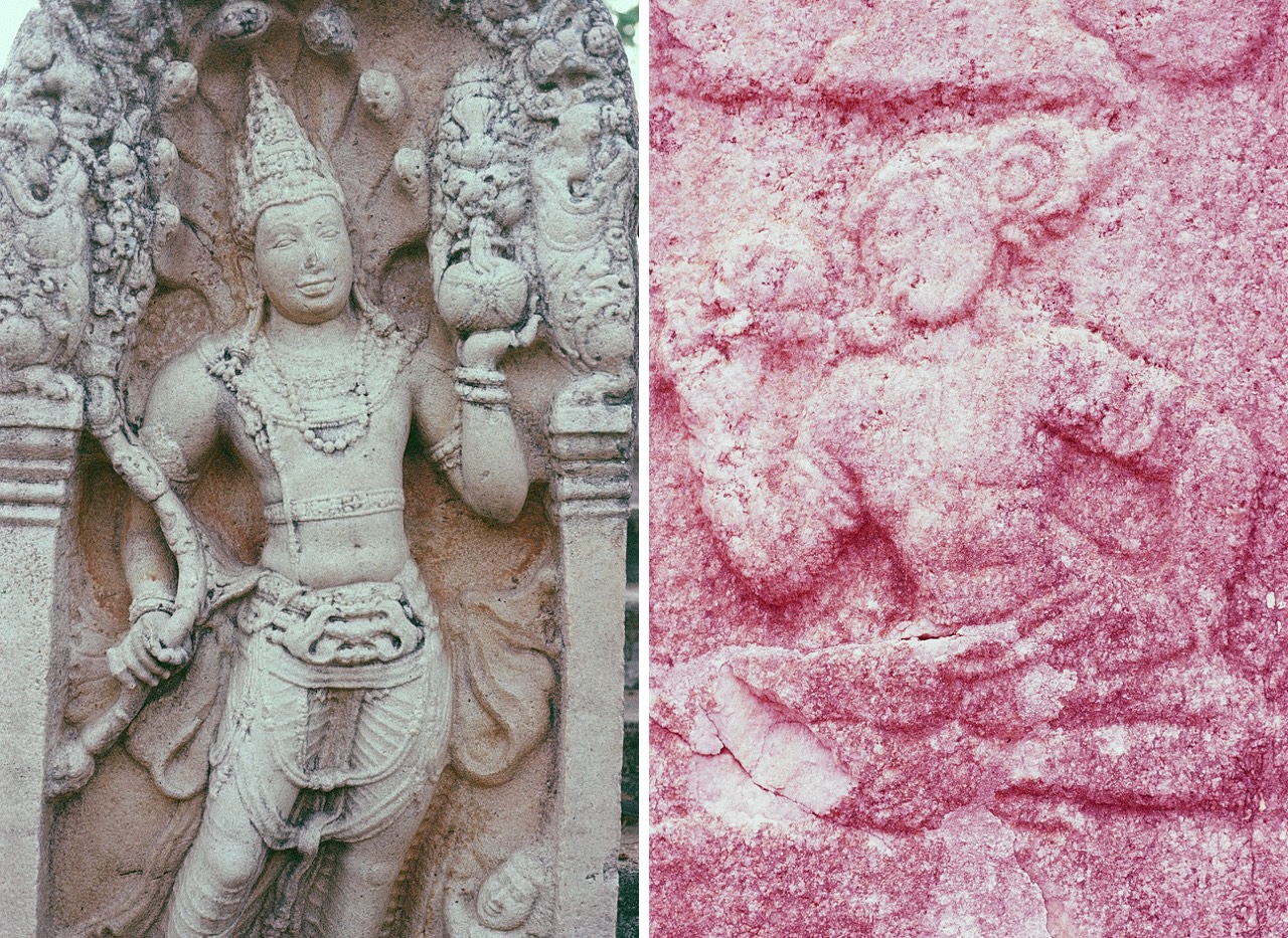 Sunara Begum—A Journey of Ascension – Vesess